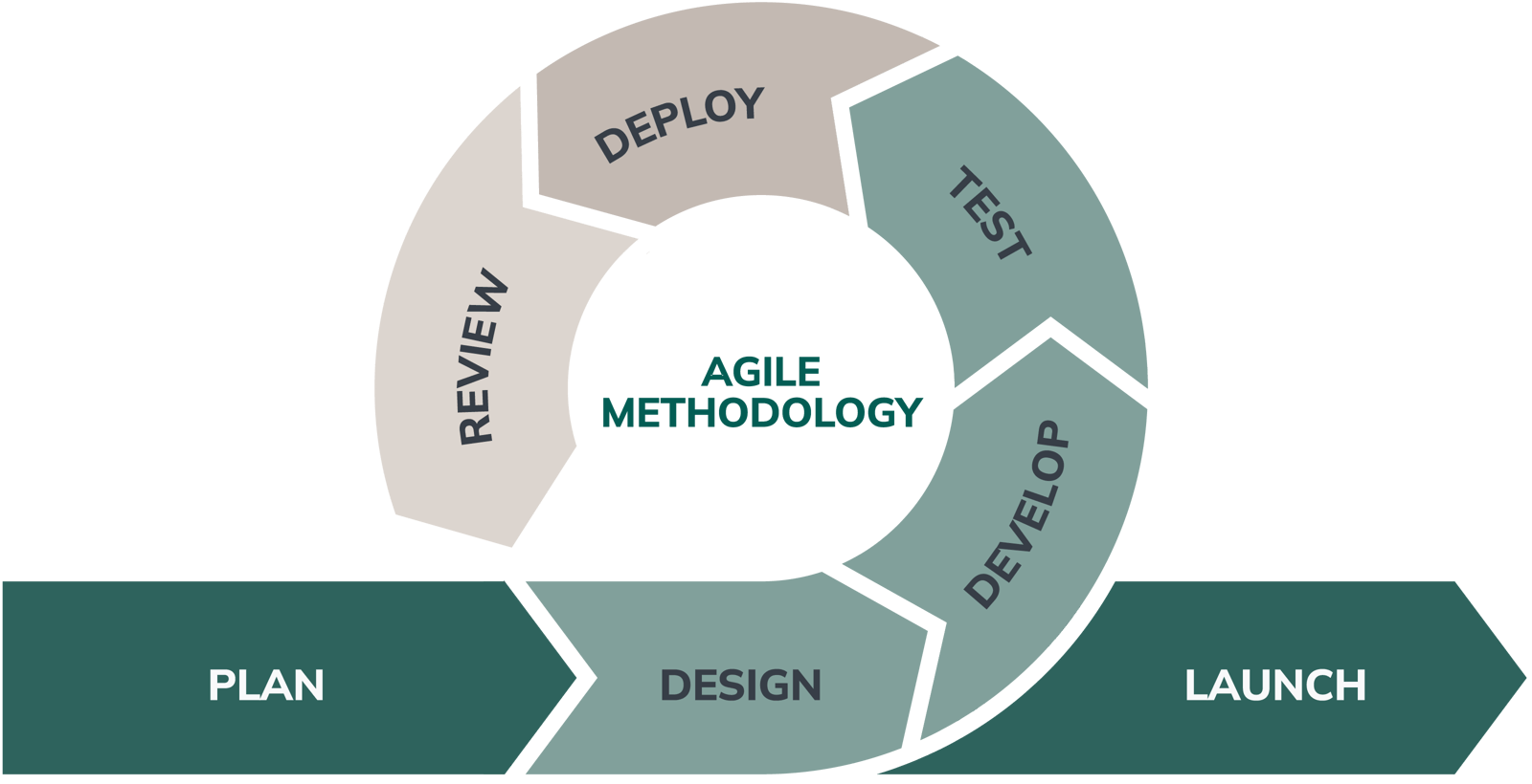 Agile software development: everything you need to know
